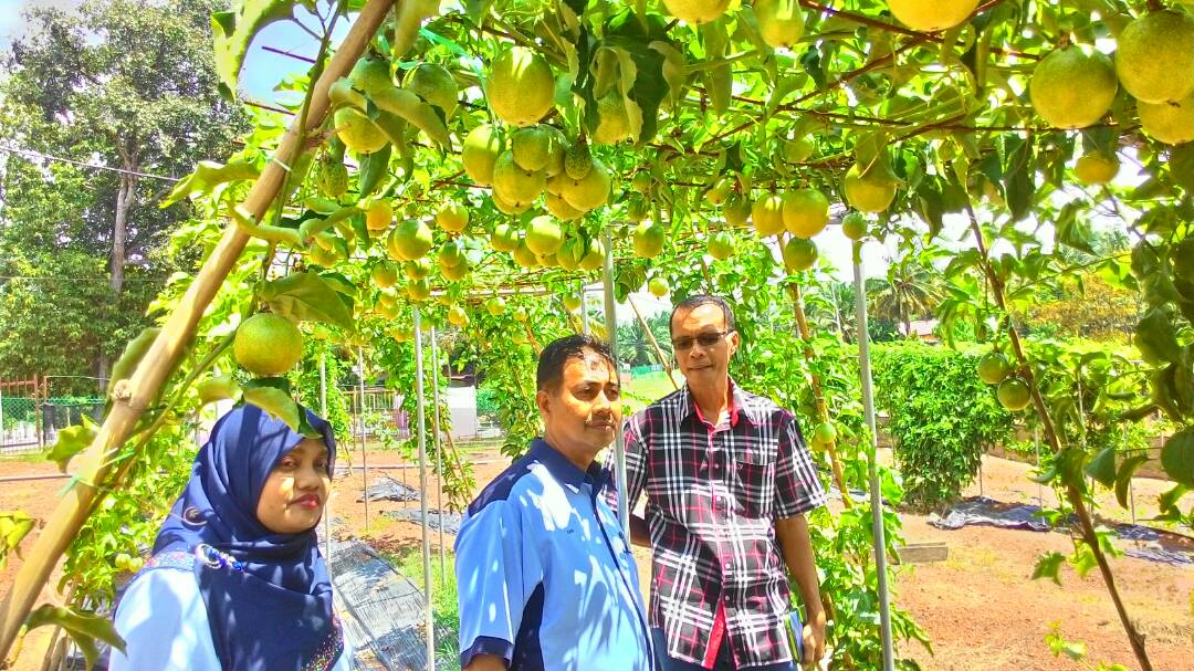 PERTUBUHAN PELADANG KAWASAN MELAKA TENGAH