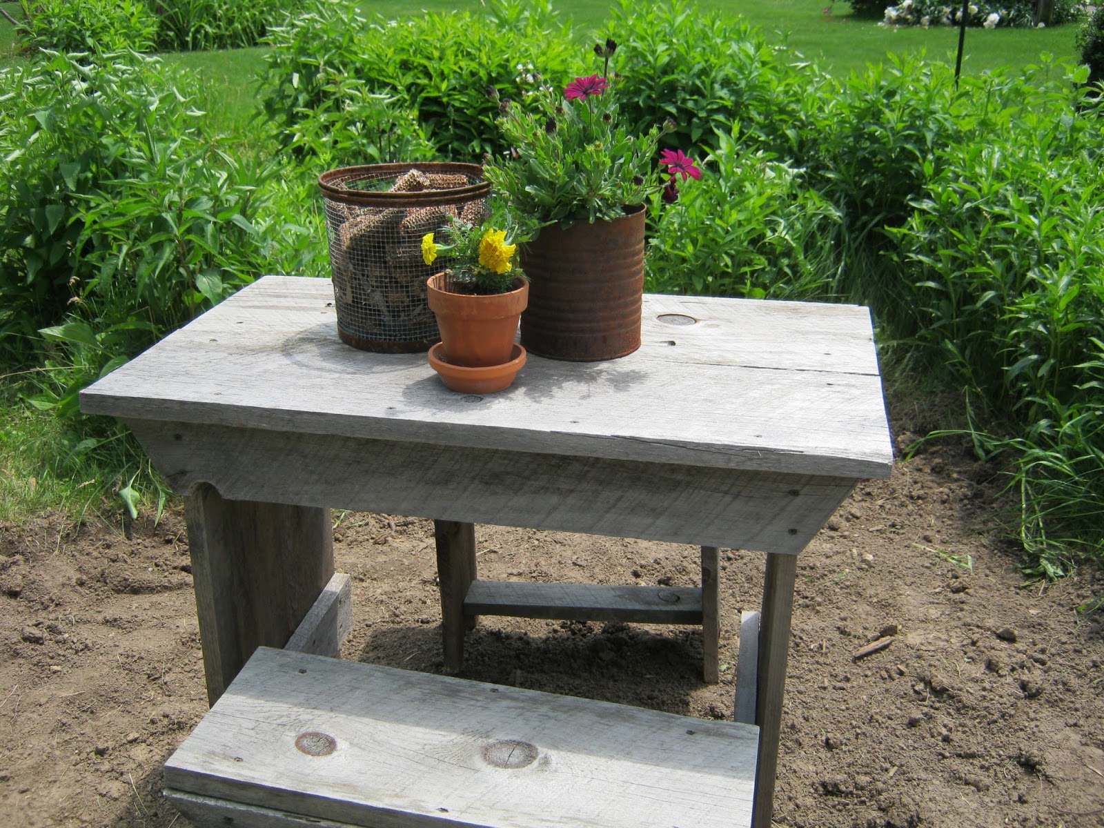 Primitive Passion Decorating: Around our yard today :0)