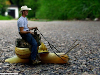 Ride Um-Slug Image | Funny Online 2 Now