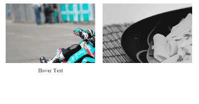 Gray Scale Effect on hover the image using Css3