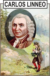 CARLOS LINNEO Y LA TAXONOMIA