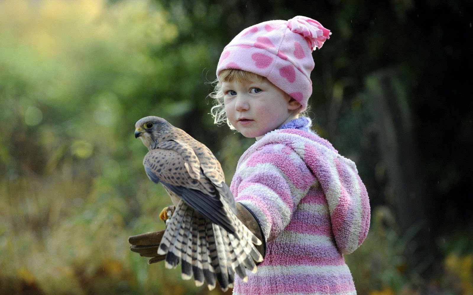 Whit Baby Girl With A Bird HD Wallpaer | Cute Little Babies