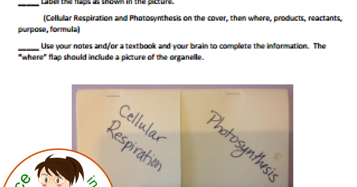 How to Clarify Photosynthesis & Cellular Respiration: A Free Foldable ...