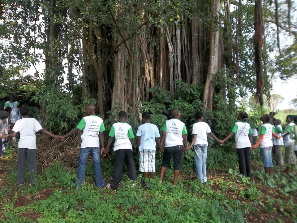 villagerole | Just another WordPress.com site