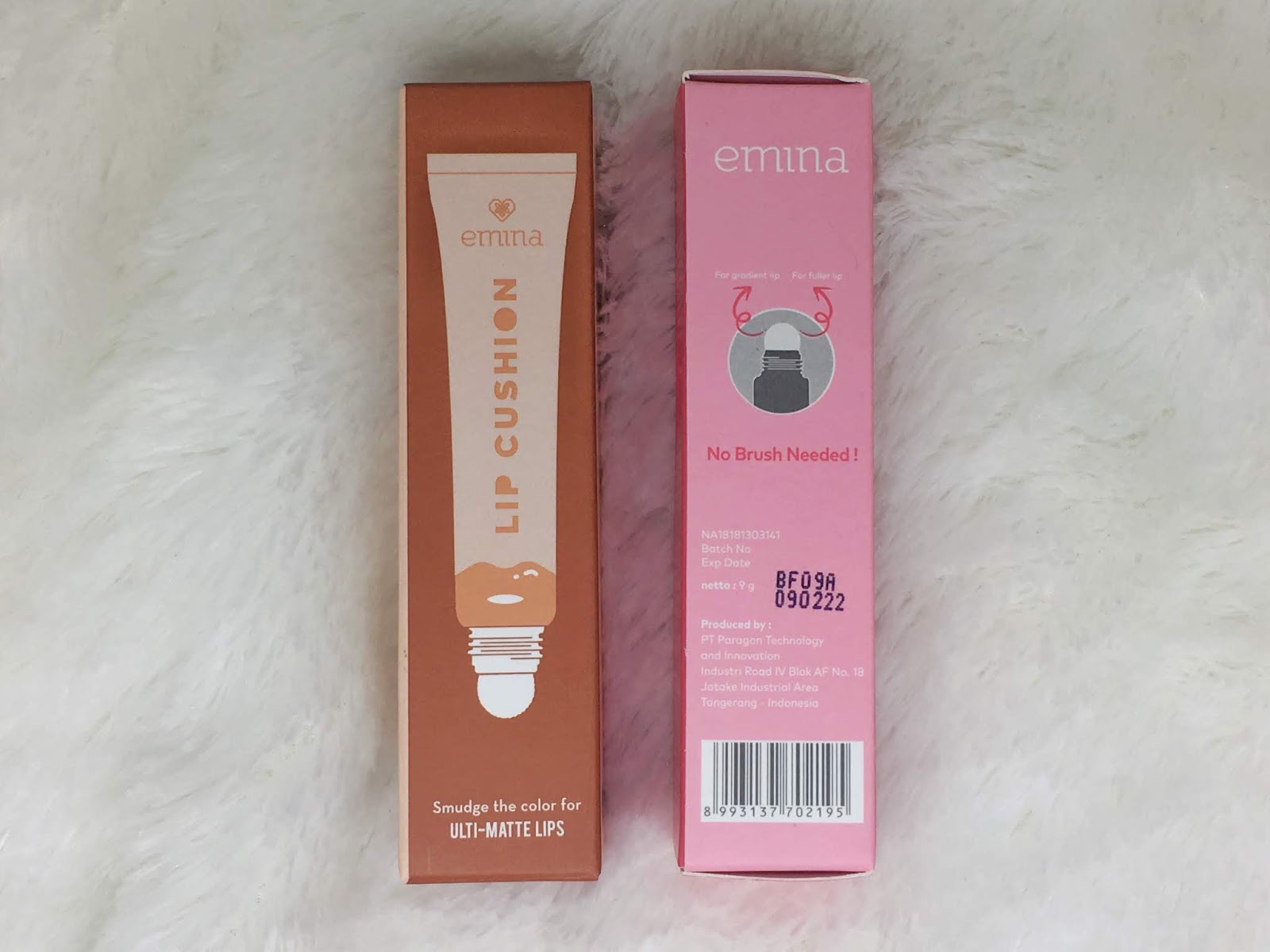 [REVIEW] PERFECT OMBRE WITH EMINA LIP CUSHION | SWATCHES LET IT PEACH ...