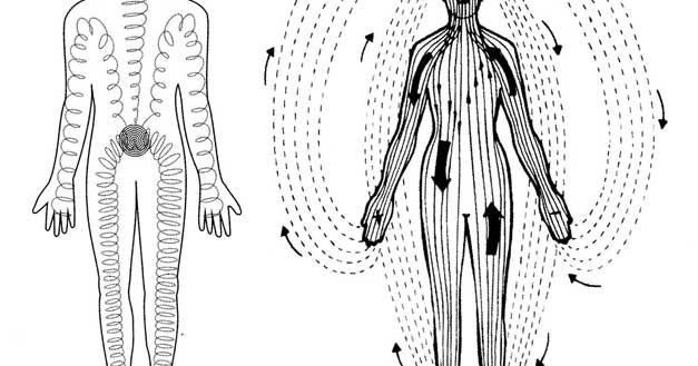 BIOFÍSICA MÉDICA: FUERZA Y ENERGÍA