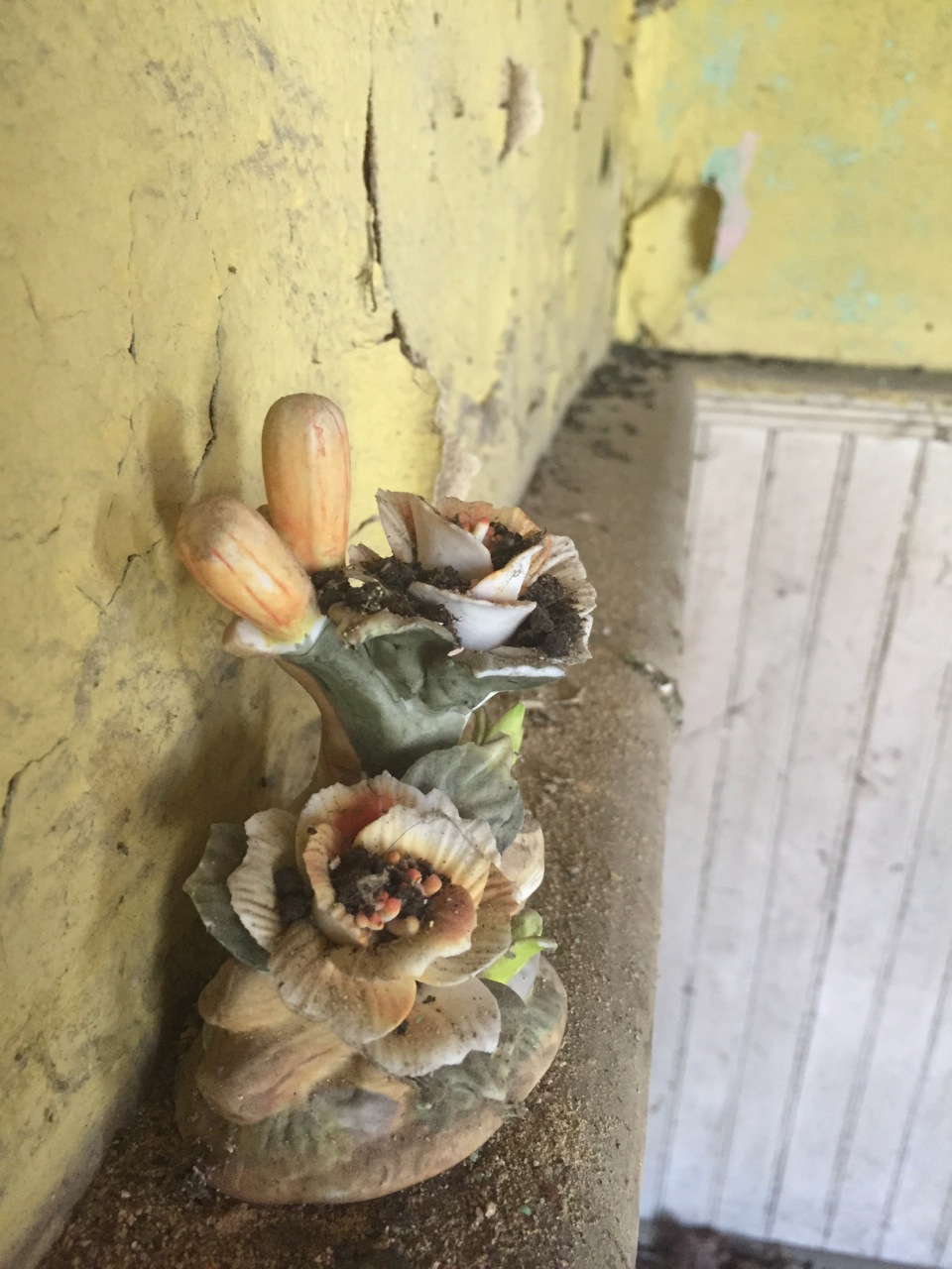 Julie Zickefoose on Blogspot: Travels with DOD: The Abandoned House