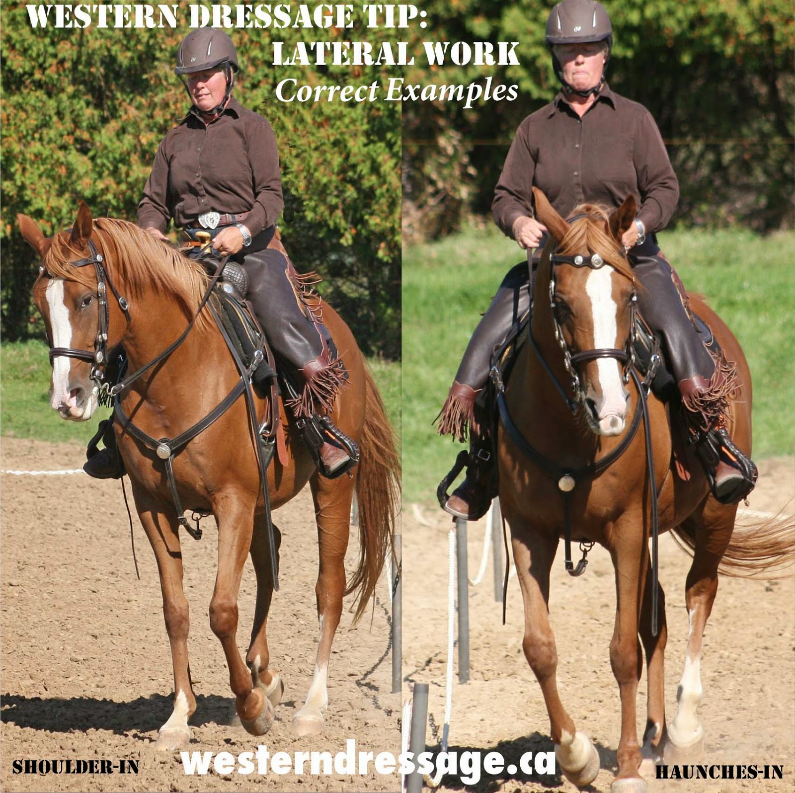 Elaine Ward Western Dressage: 2014