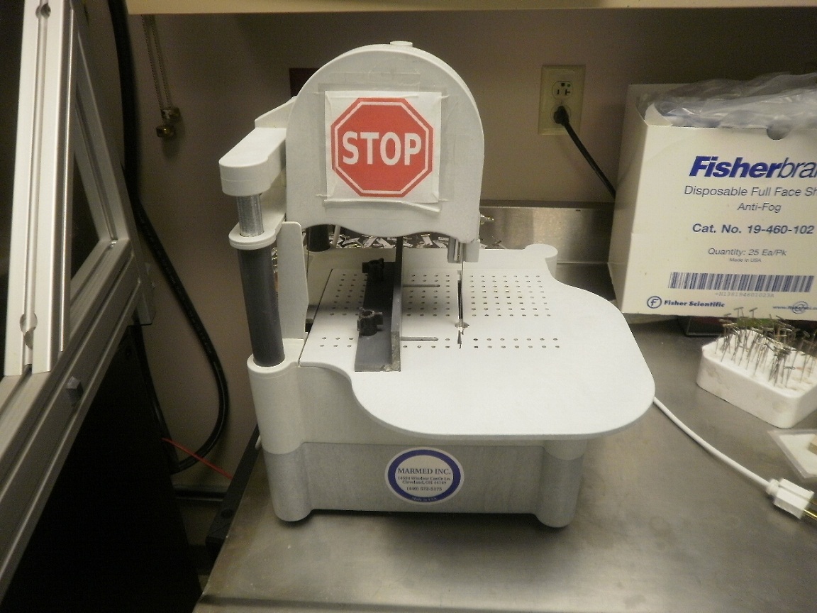 The Making of a Pathologists' Assistant: A Trip to the Pathology ...