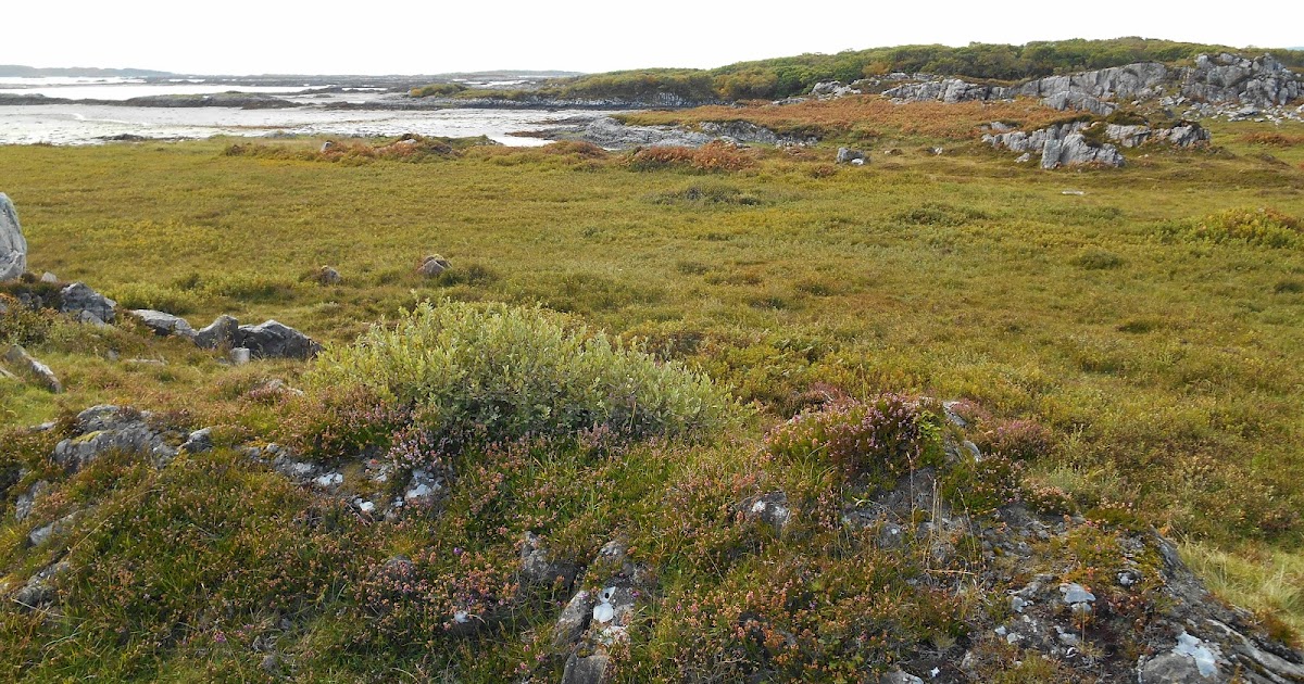 A lifetime of Islands: Island 263 - Eilean Ighe, Arisaig, Highland