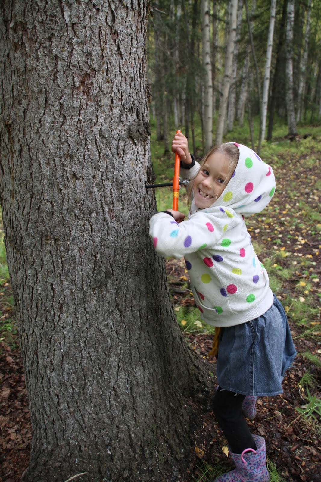 Homestead On A Hill: Happy 8th Birthday Abigail