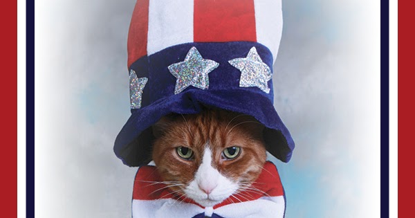 The Cuddlywumps Cat Chronicles: Celebrate National Tabby Day at ...