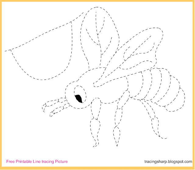 Free Tracing Line Printable: Bee Tracing Picture