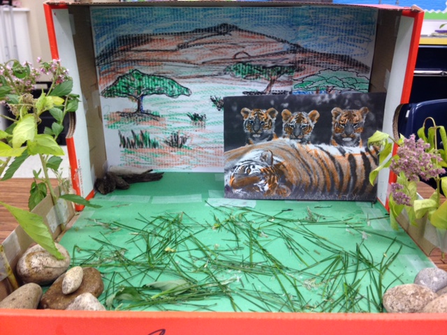 Mrs. Zuniga's 2nd Grade Class Page: Animal Habitat Diorams