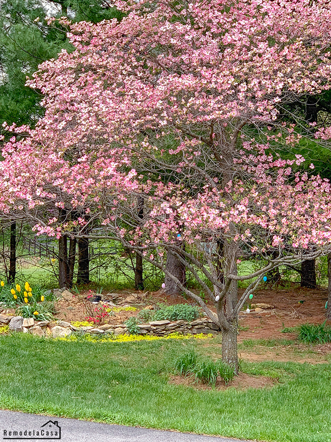 Beautiful Spring Colors - Remodelando la Casa
