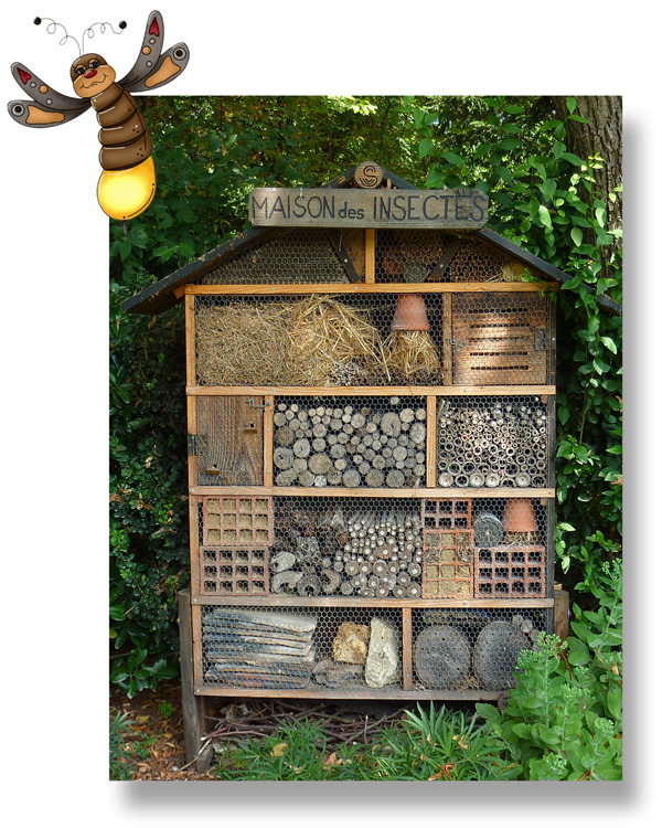 HOTELES PARA INSECTOS