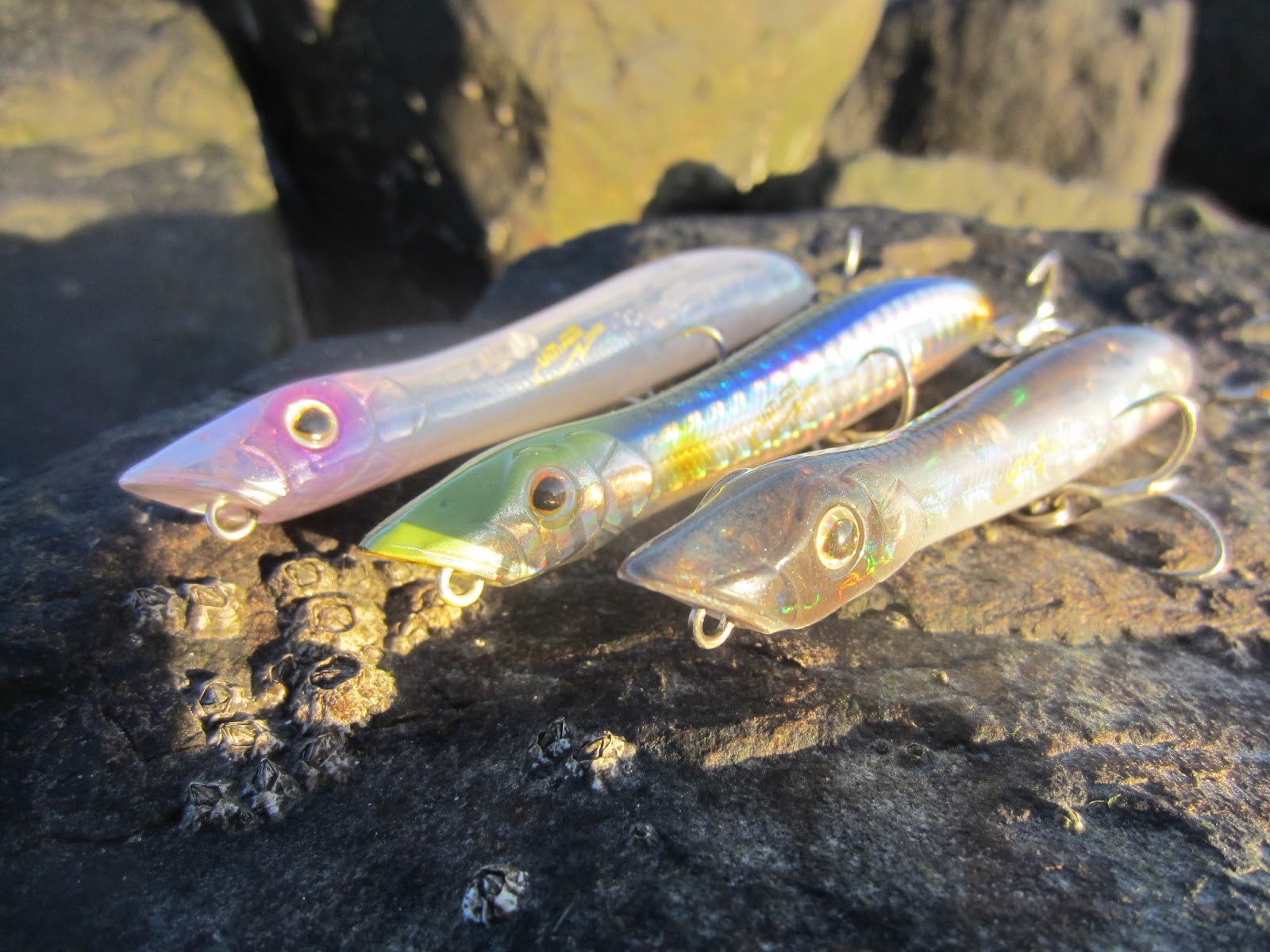 Oosterschelde baars: Xorus Patchinko 100