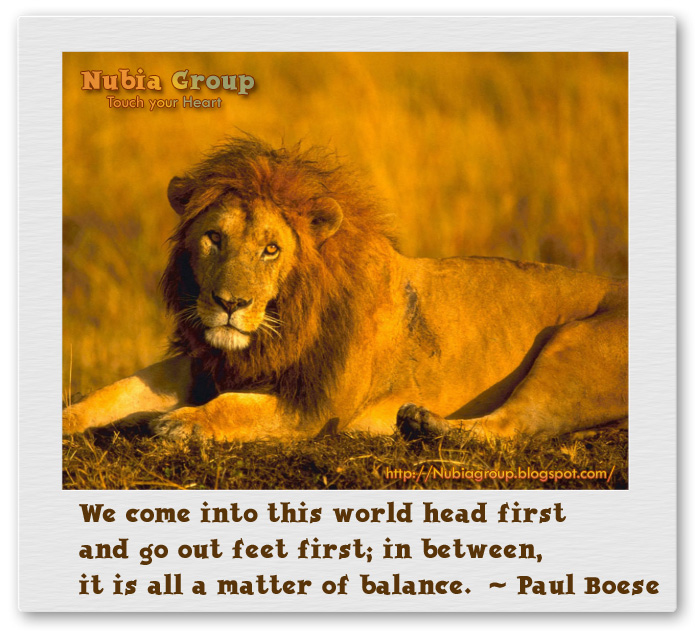 * Nubia_group Inspiration *: Paul Boese quotes