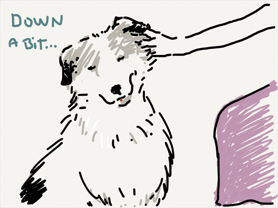 The Animated Woman: Dogs.