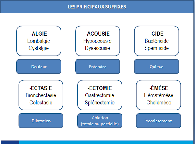 Terminologie Médicale : Étude et exemples des principaux suffixes ...