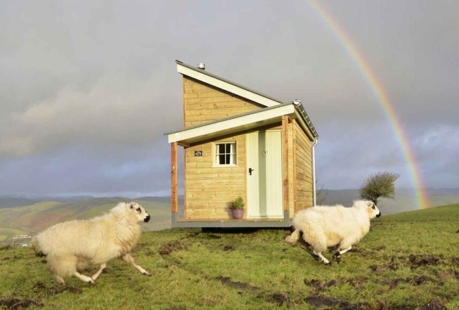 Shedworking: The Welsh Den Company