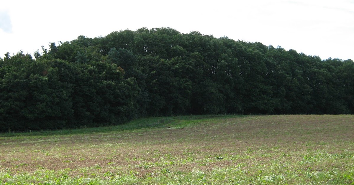 Piers Gaveston: The Gaveston Cross