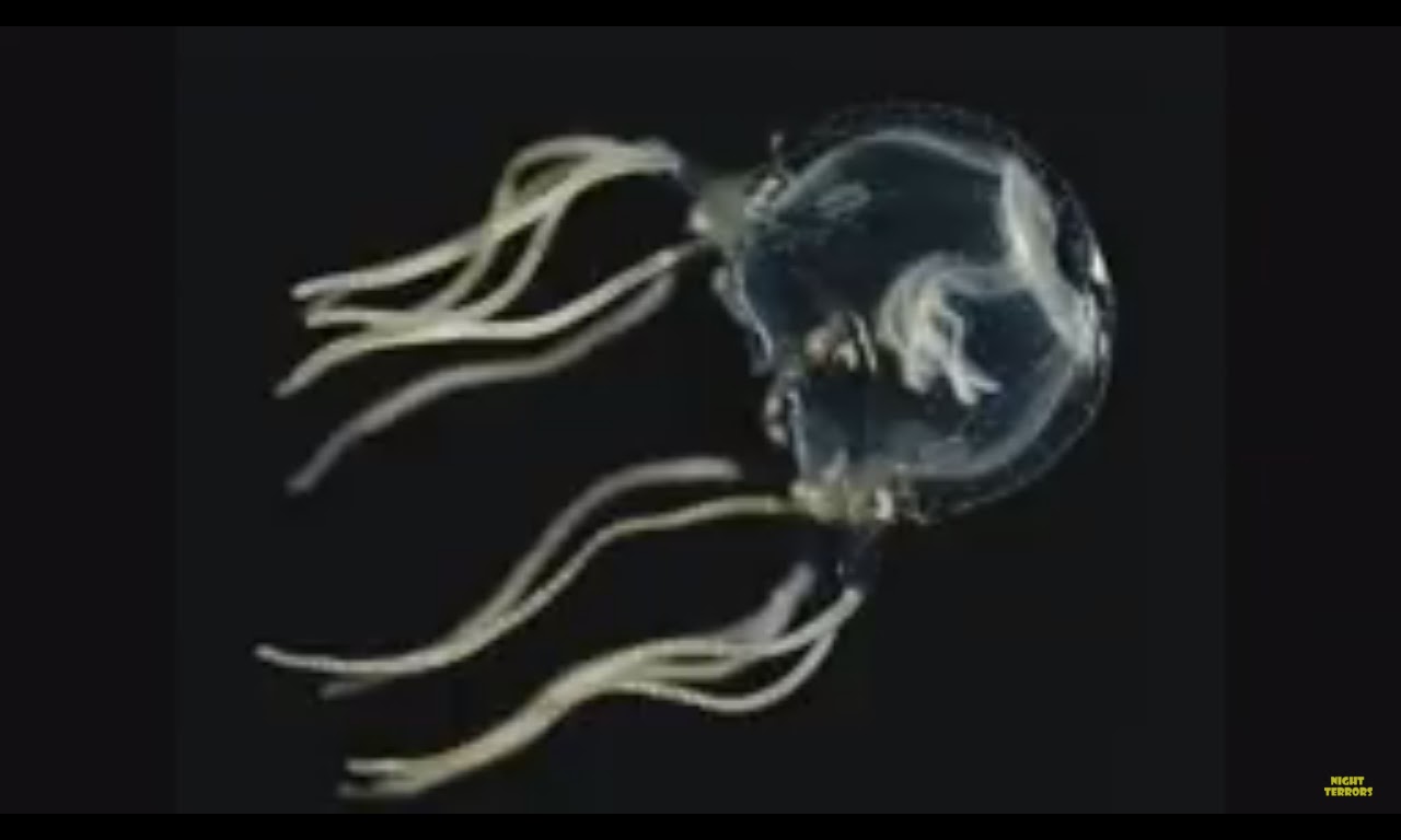 光明會 錫安長老會 聖羅馬帝國和NWO 及森遜密碼驗證: 俄羅斯科學家在南極洲戰鬥南極生物46b Vostok八爪魚湖