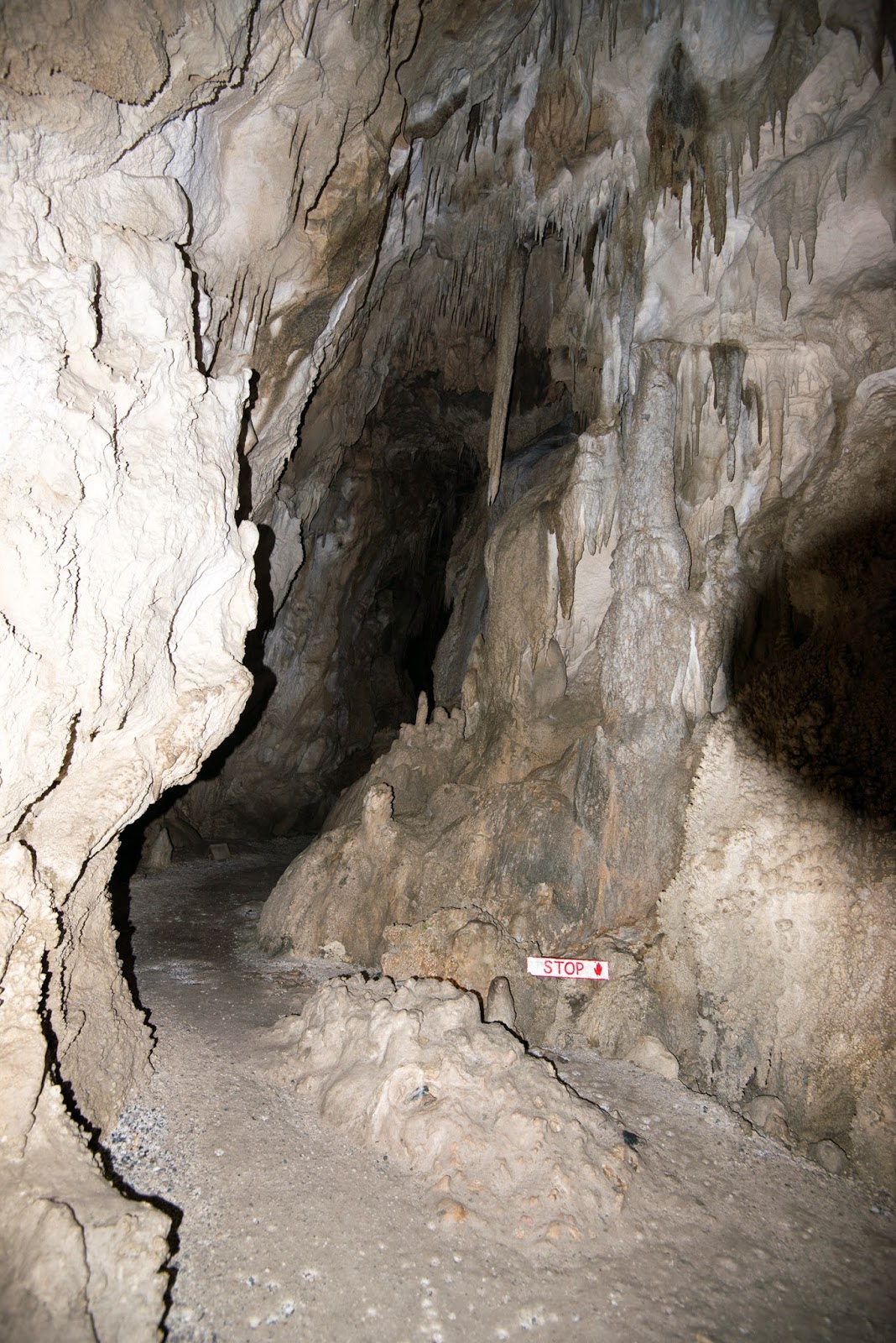 On the way to Golden Bay {Ngarua Caves and the drive to Pakawau} | the ...