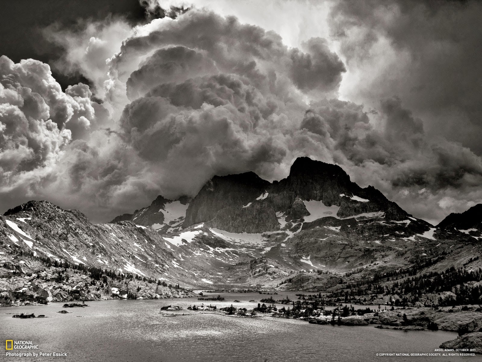 Group F.64 by Mary Street Alinder shows why the group that ...