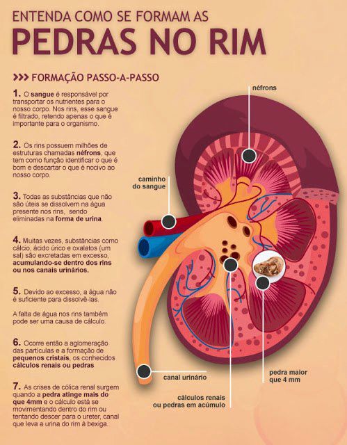 BLOG DO VICENTE ALENCAR: O CORPO FALA - OS RINS