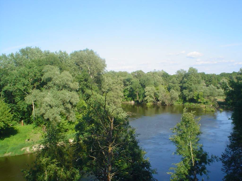 Szeroki Trakt: Rzeka Bug w okolicach Nepli