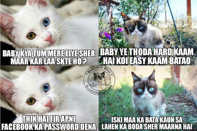 10 Bakchod Billi Memes that will make you LAUGH OUT LOUD - Inglish Baba ...