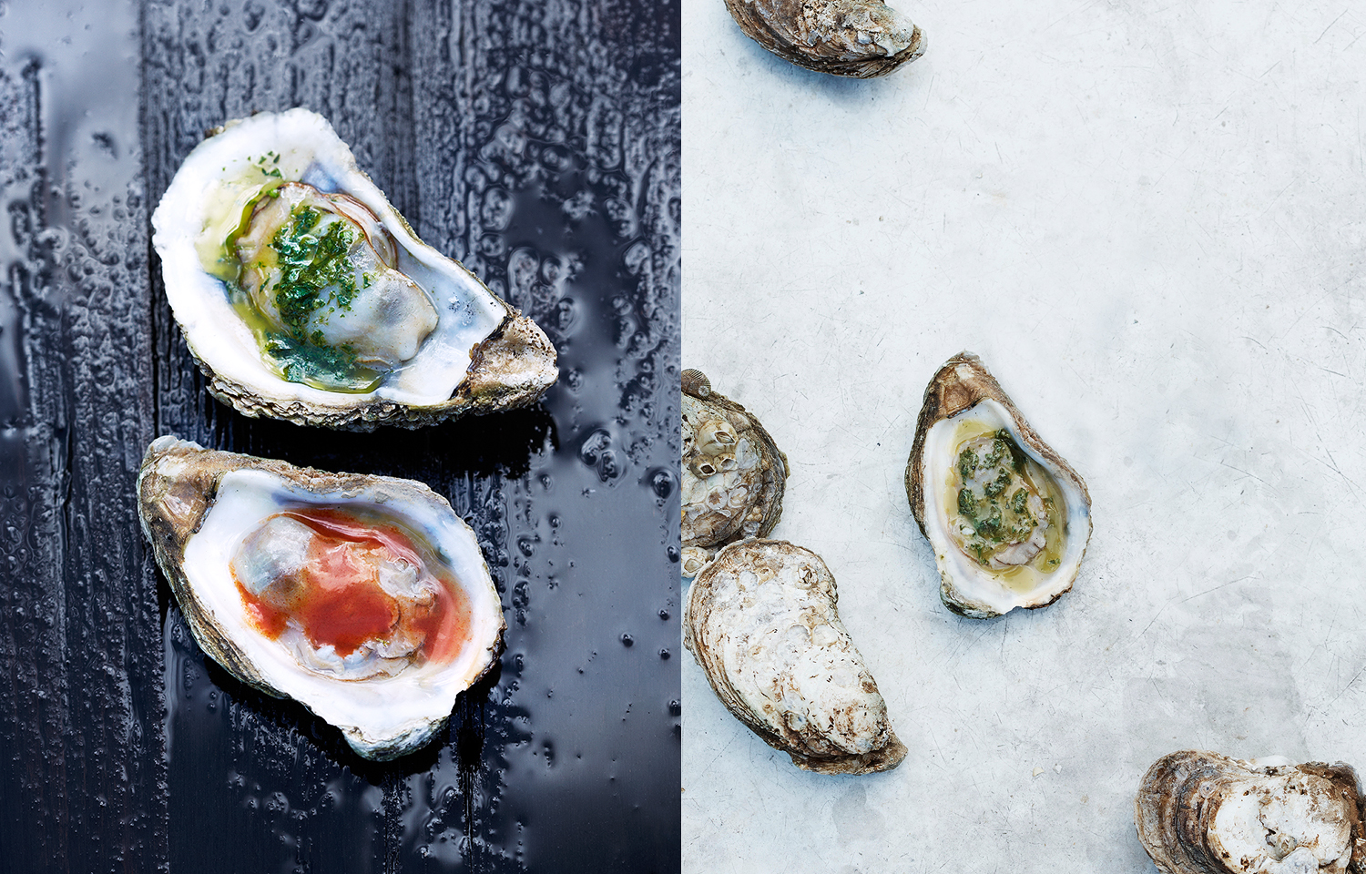 CHRISTOPHER TESTANI PHOTOGRAPHY