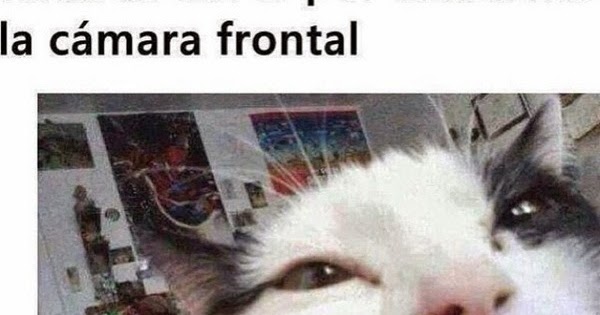 Imagenes Para Morirse De Risa Para Facebook