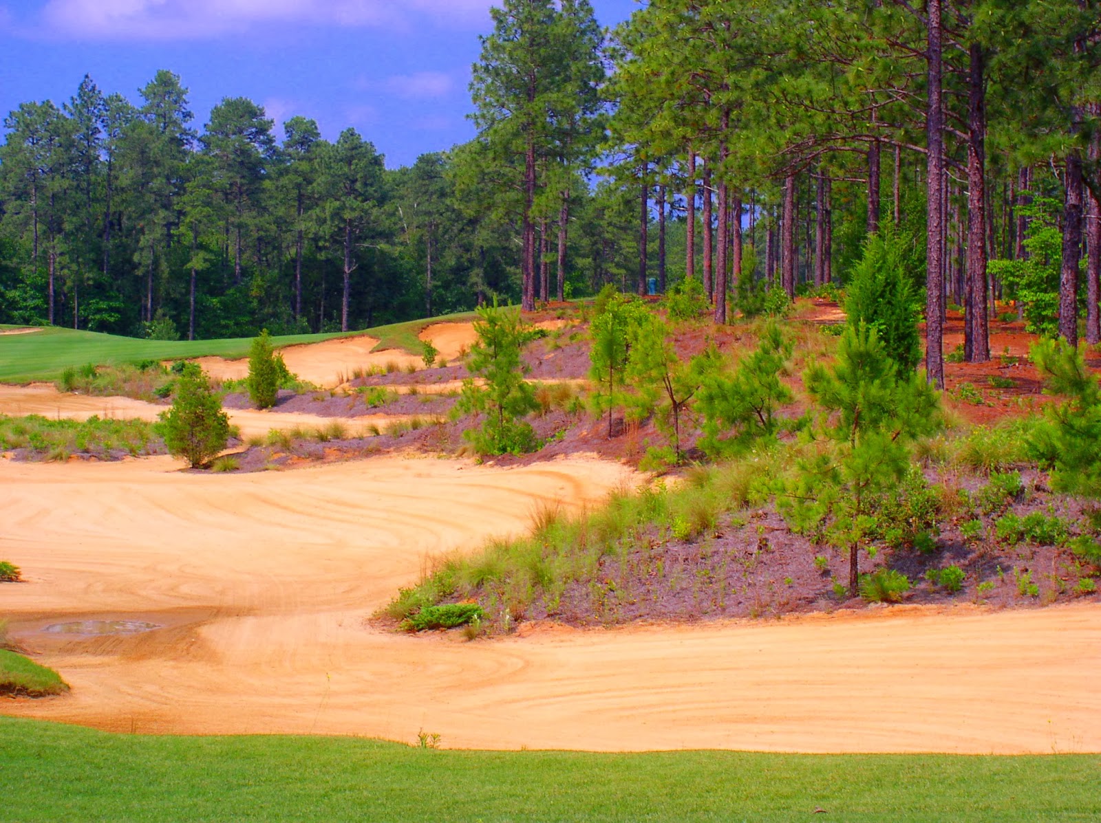 Forest Creek Golf Course Maintenance: BUNKERS, SAND, AND RAKES