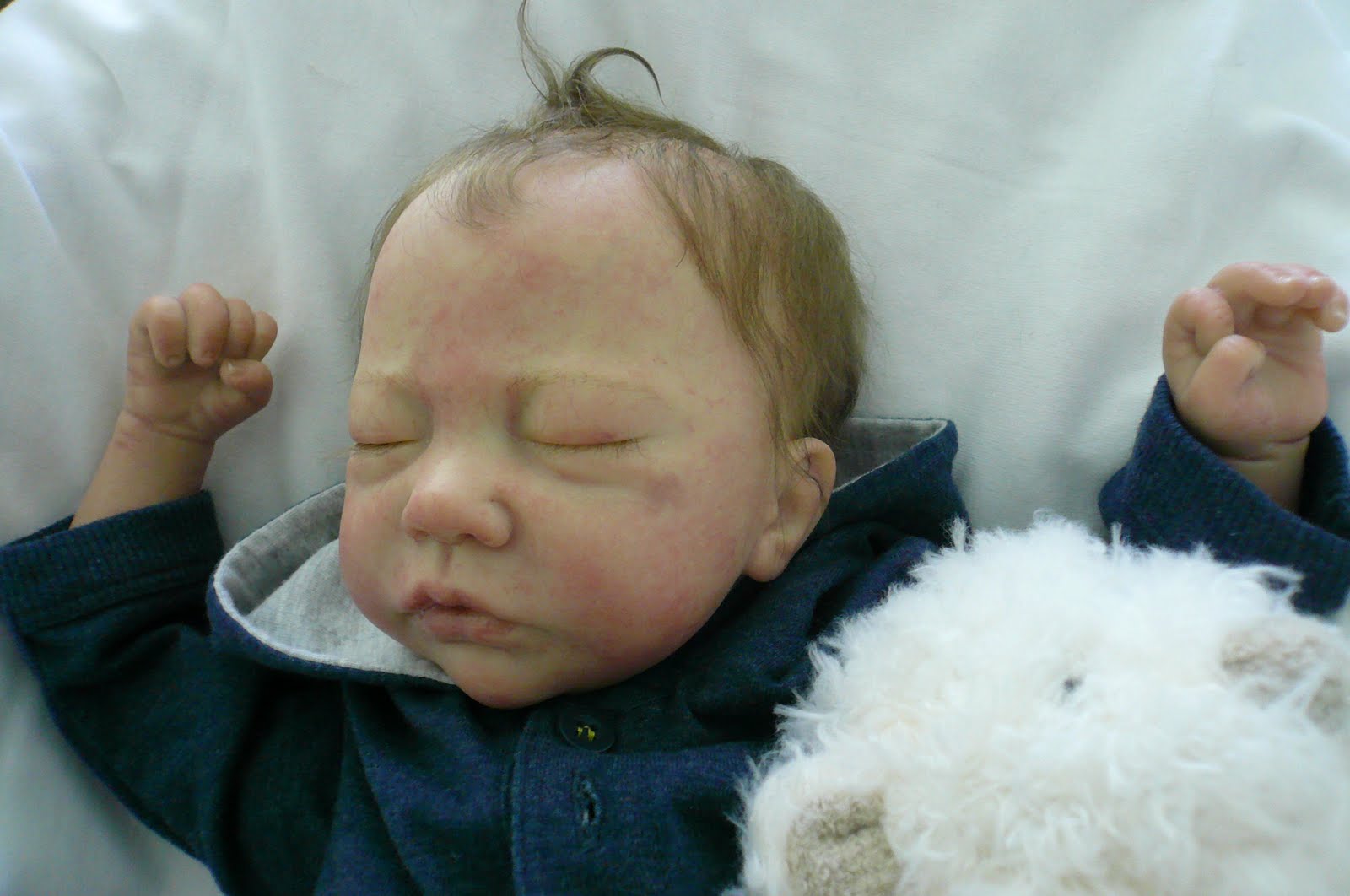 **NURSERIE BABYCHOU**: BABYCHOU en cours de réalisation !... adopté