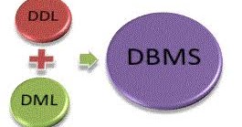 OldmanCode: Pengertian DDL dan DML