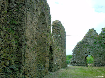 Ireland In Ruins: Dunbrody Abbey Co Wexford