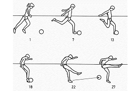 Punt Biomechanics Flinders University Education and Health sciences ...