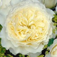 Florist Wilmington NC | Bloomers Flowers Blog - Wilmington NC ...