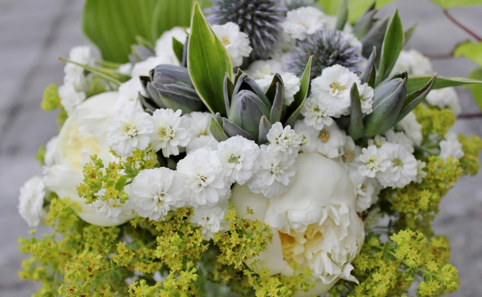 Kukka & Kaali: ROUVA RUUSUPUU