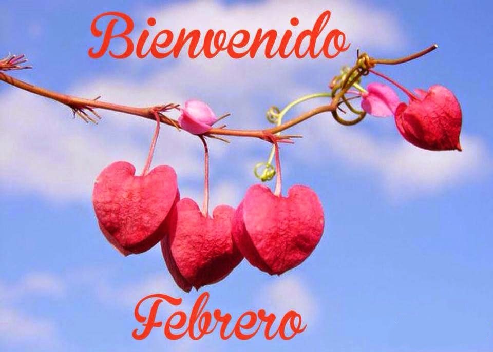 Para la pausa: Bienvenido febrero!!!