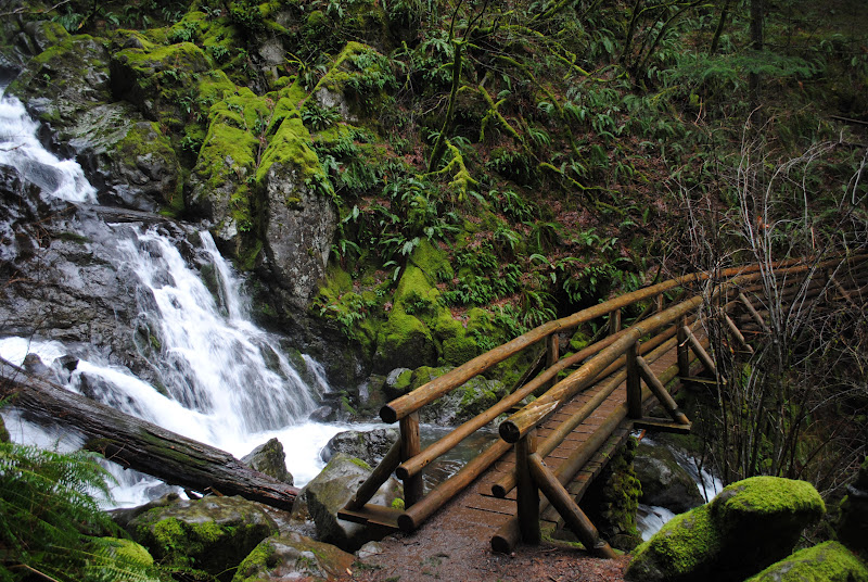 Black Watch Sasquatch: Rodney Falls & Little Beacon Rock - Columbia ...