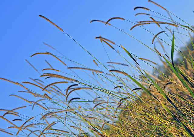 mels artistic journey: 6 Ways to Find & Collect Inspiration