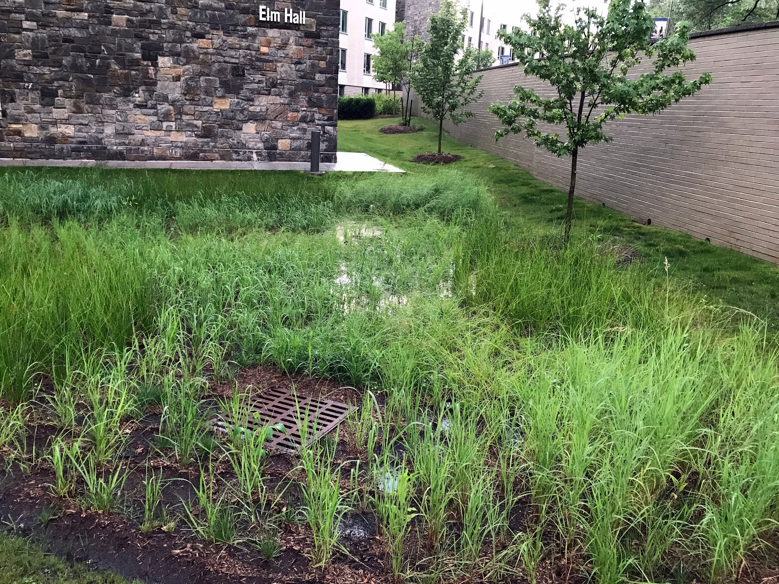 Green Stormwater Infrastructure