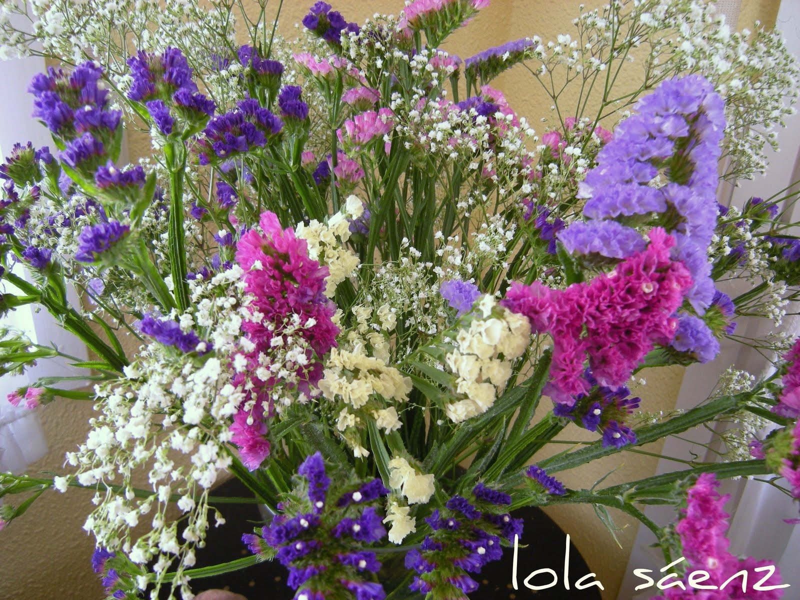 Flores Naturales: Statice