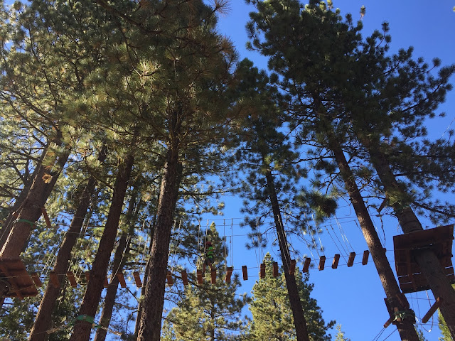 Run-Hike-Play: Fun Times at Treetop Adventure Park - Granlibakken Resort