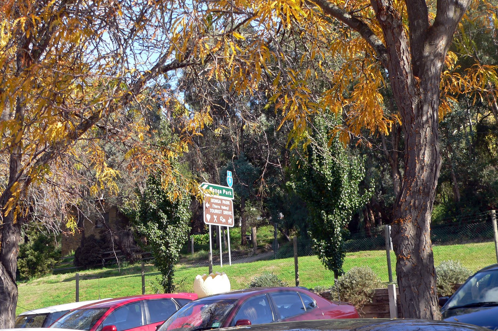 Melbourne Photographs Victoria Tasmania Queensland Australia: WARRAN ...