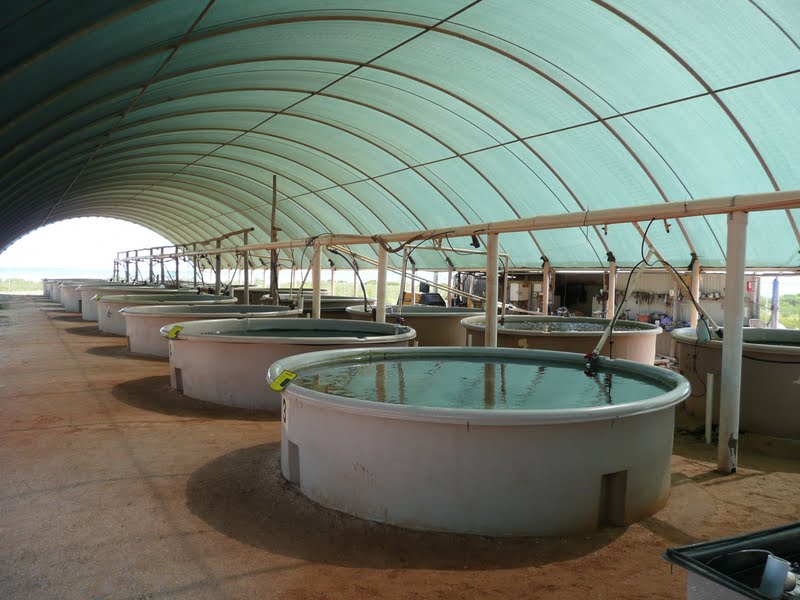 Nele & Andrew Around Oz: Cable Beach Caravan Park, Broome, WA