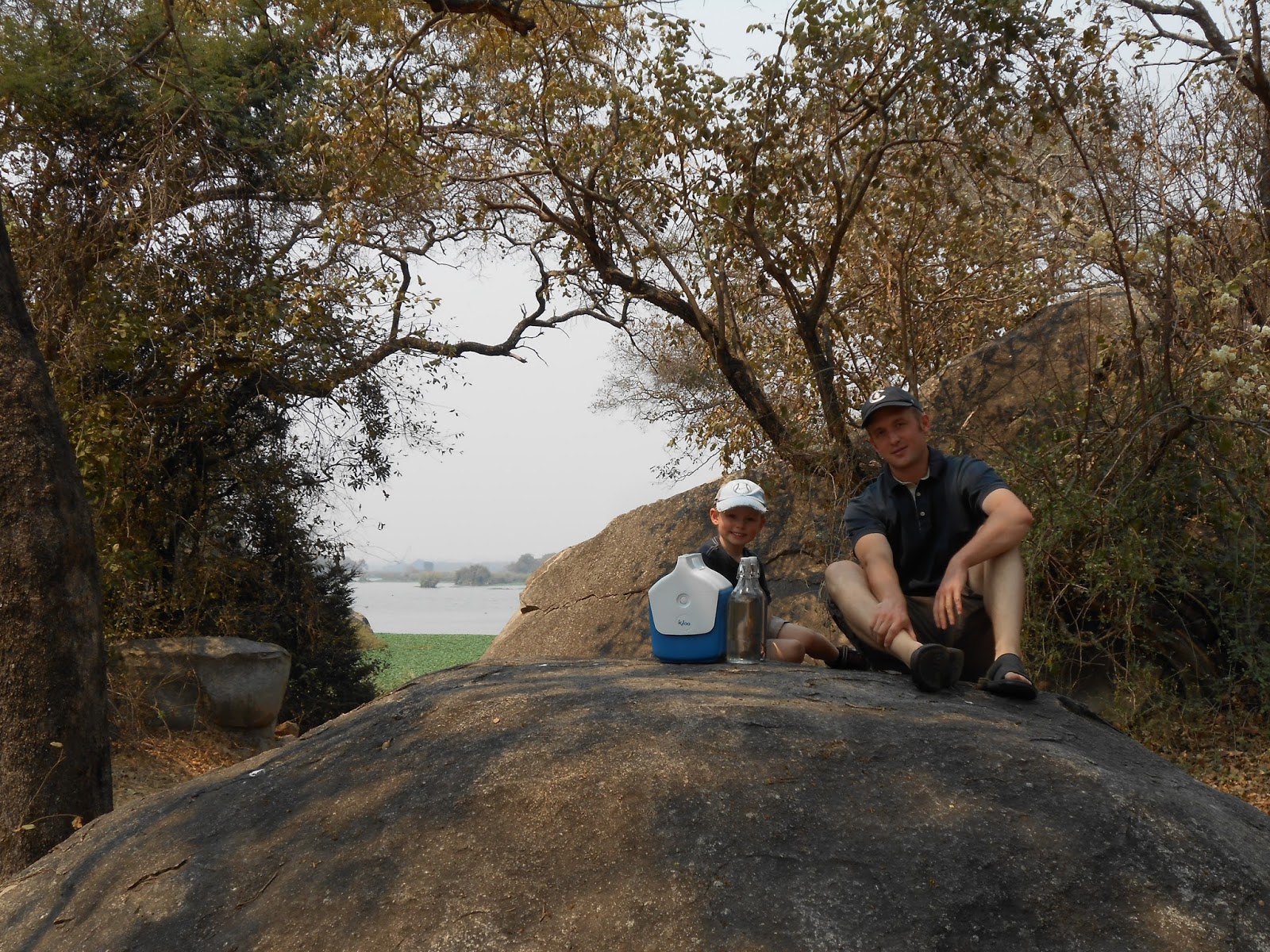 Well, It's Africa...: Looks Like Spring: The Msasa Tree